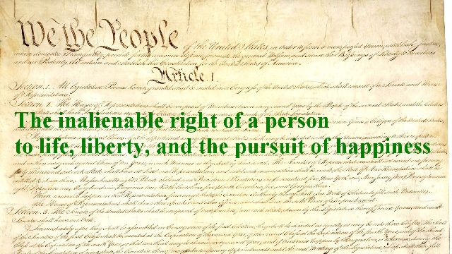 WHITEHALL GOVERNMENT’S INFRINGMENT ON YOUR RIGHTS | Whitehall Watchblog
